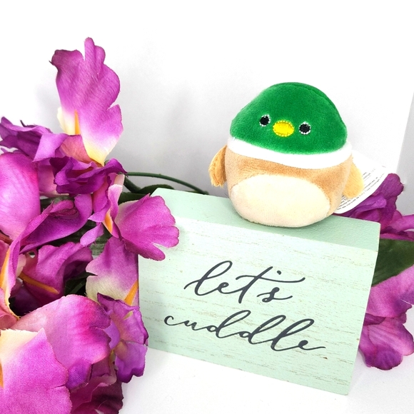 Squishmallows | Toys | Avery Htf Og Squad Mallord Duck Squishville ...